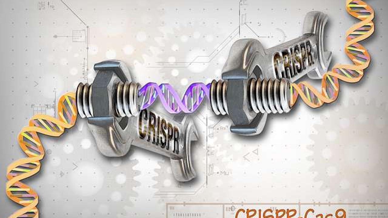 CRISPR and the Future of Biotech | BioInnovation Group at UC Davis