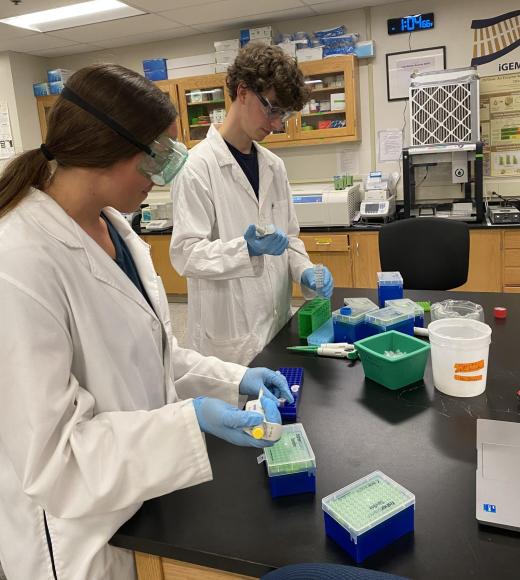 Research Teams | BioInnovation Group at UC Davis